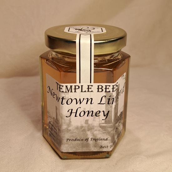 Shop – Temple Bees
